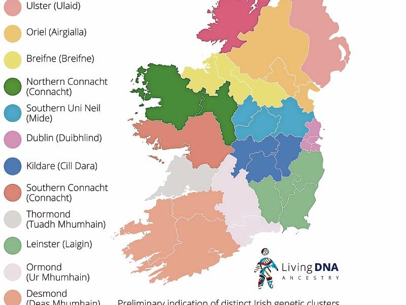 Genetic Makeup Of Northern Ireland | Saubhaya Makeup
