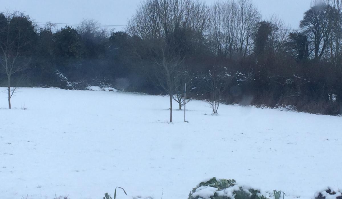 Snow causes disruption in Kilkenny - Kilkenny Live
