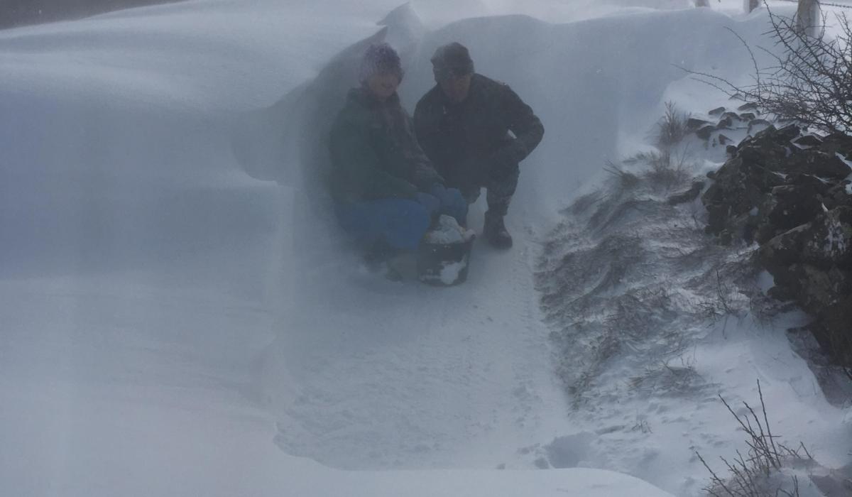 PICTURES: These images show the very deep snow in Kilkenny - Photo 1 of ...