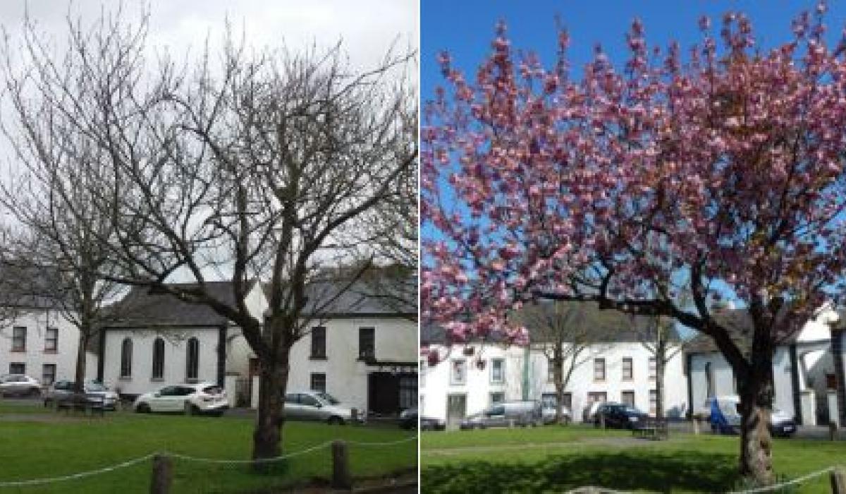 Photos, a year apart, from Inistioge tell the story of Kilkenny weather ...