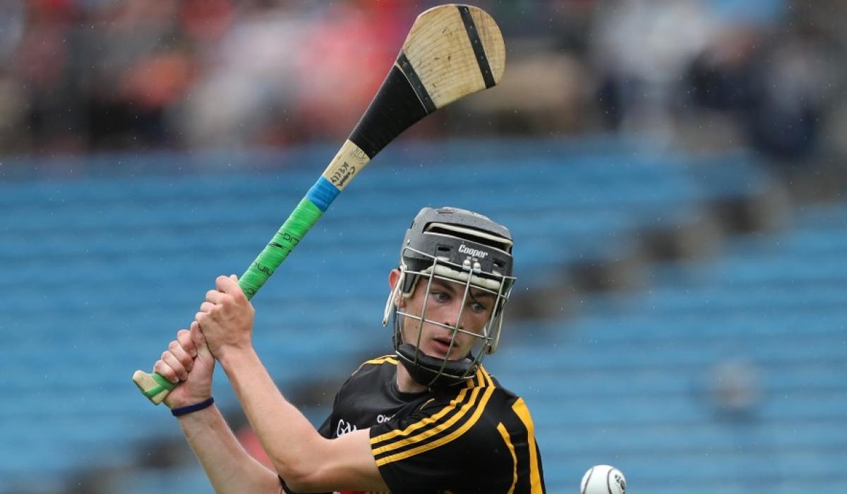 Kilkenny hurling: young Cats keep the All-Ireland dream alive ...