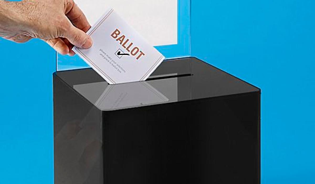 Kilkenny TD believes the upcoming elections are an 'opportunity' for ...