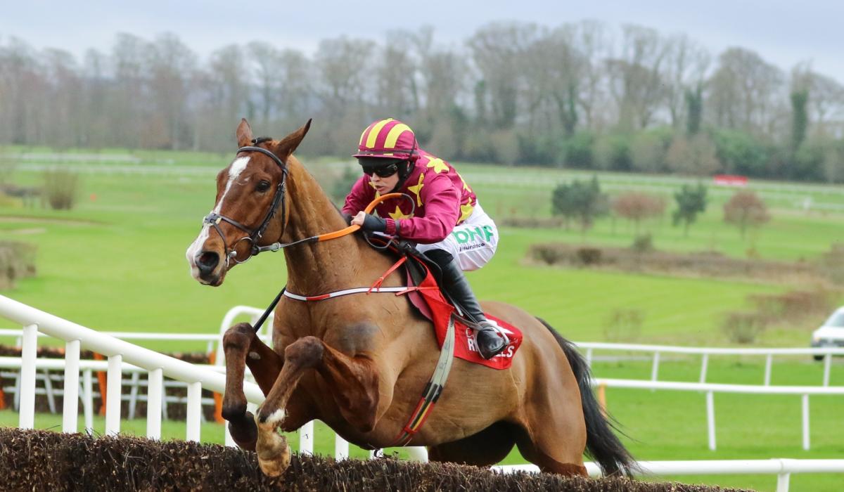 Horse Racing Ireland sees an increase in prize money for 2022 ...