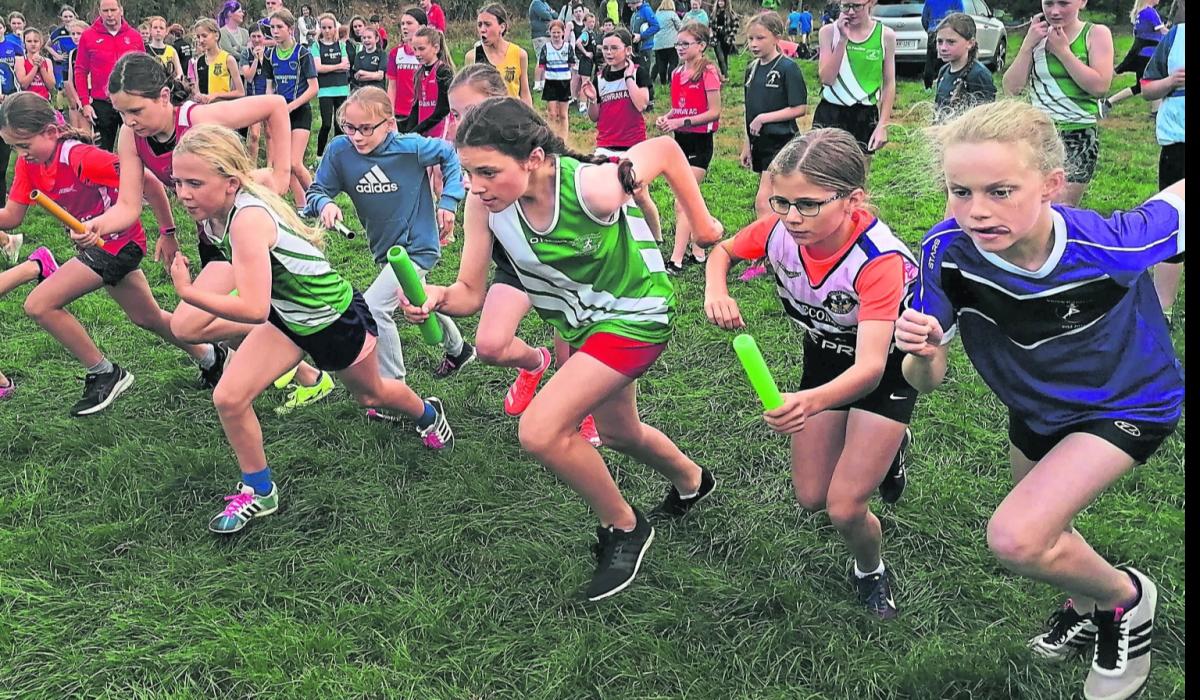 Senior cross-country success for KCH and St Senan’s - Kilkenny Live