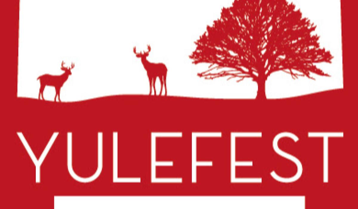 Kilkenny Yulefest will be the star of RTE's Nationwide tonight ...