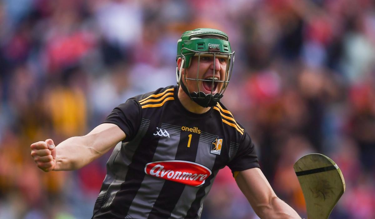 Eoin Murphy the sole Kilkenny representative on all-star hurling team for 2021 - Kilkenny Live