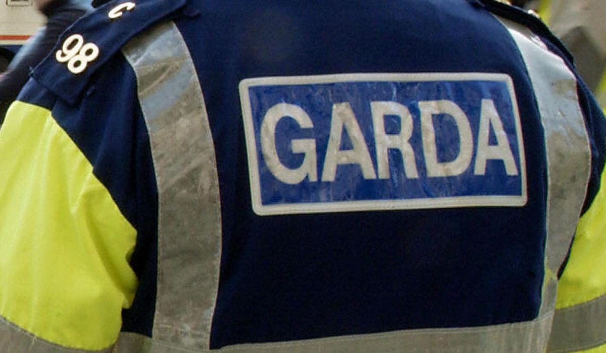Two men with North Kilkenny connections join An Garda Síochána ...