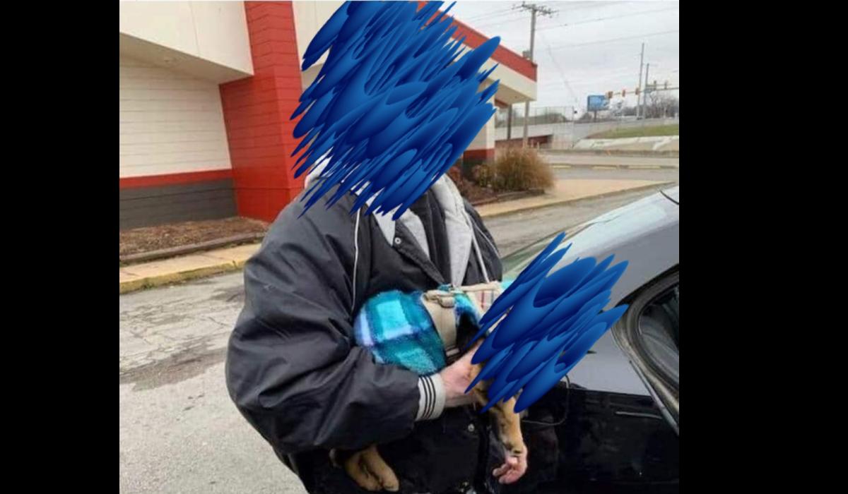 WARNING: Alert about fake missing person post on social media ...