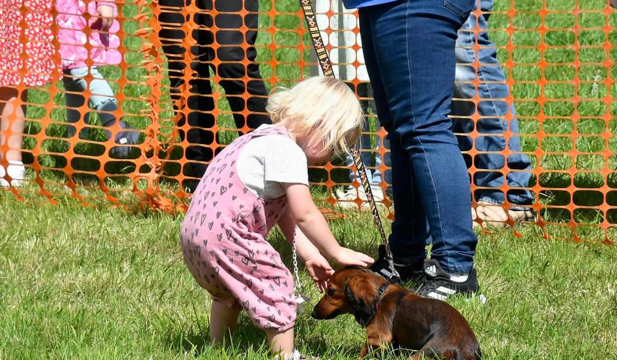Pictures #2: More great photos from the Inistioge Vintage Rally - click ...