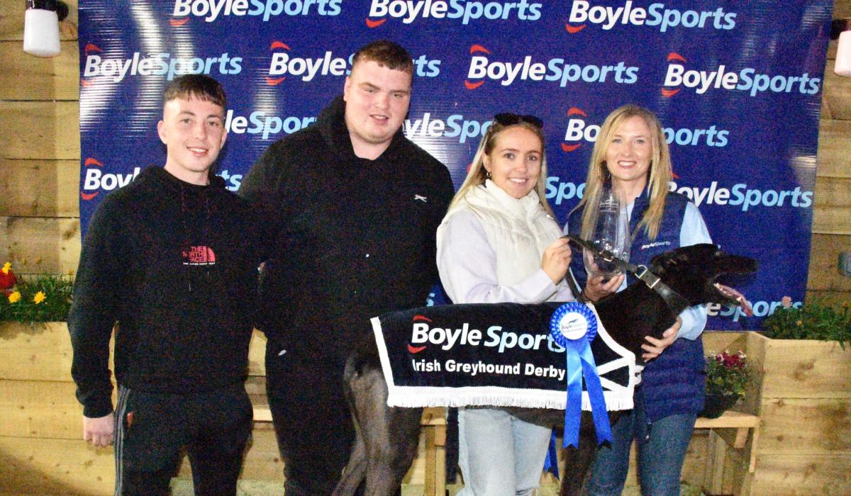 Kilkenny trainers among the winners in the BoyleSports Irish Greyhound ...