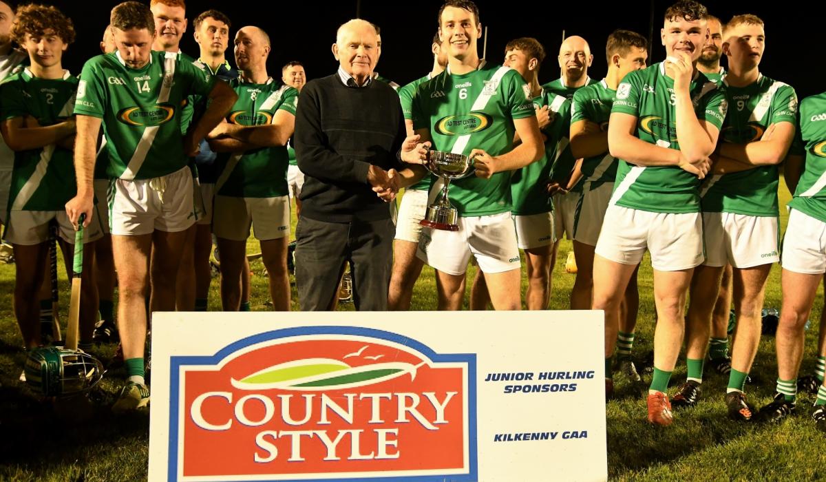 Mooncoin claim Junior D Championship honours - Kilkenny Live