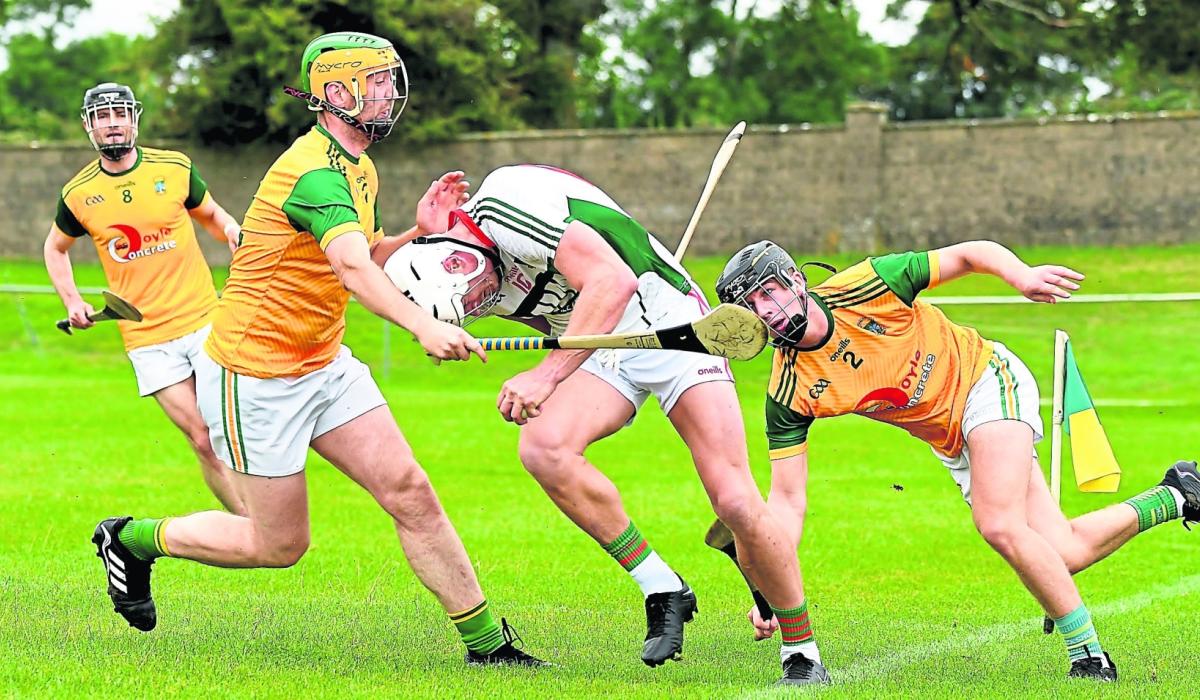 Returning Joyce shows his class in Shield success for Rower-Inistioge ...