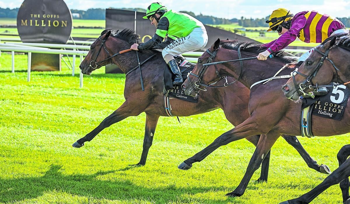 Kilkenny's Shane Foley scores on double at The Curragh - Kilkenny Live