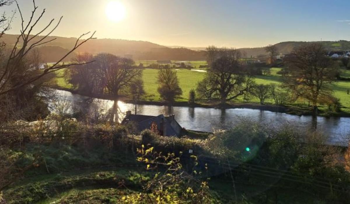 A beautiful morning in South Kilkenny but the River Nore is almost ...