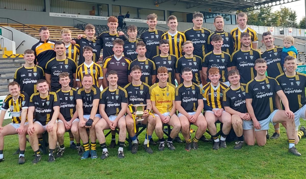 Young guns lead the way as Tullogher Rosbercon claim junior hurling ...
