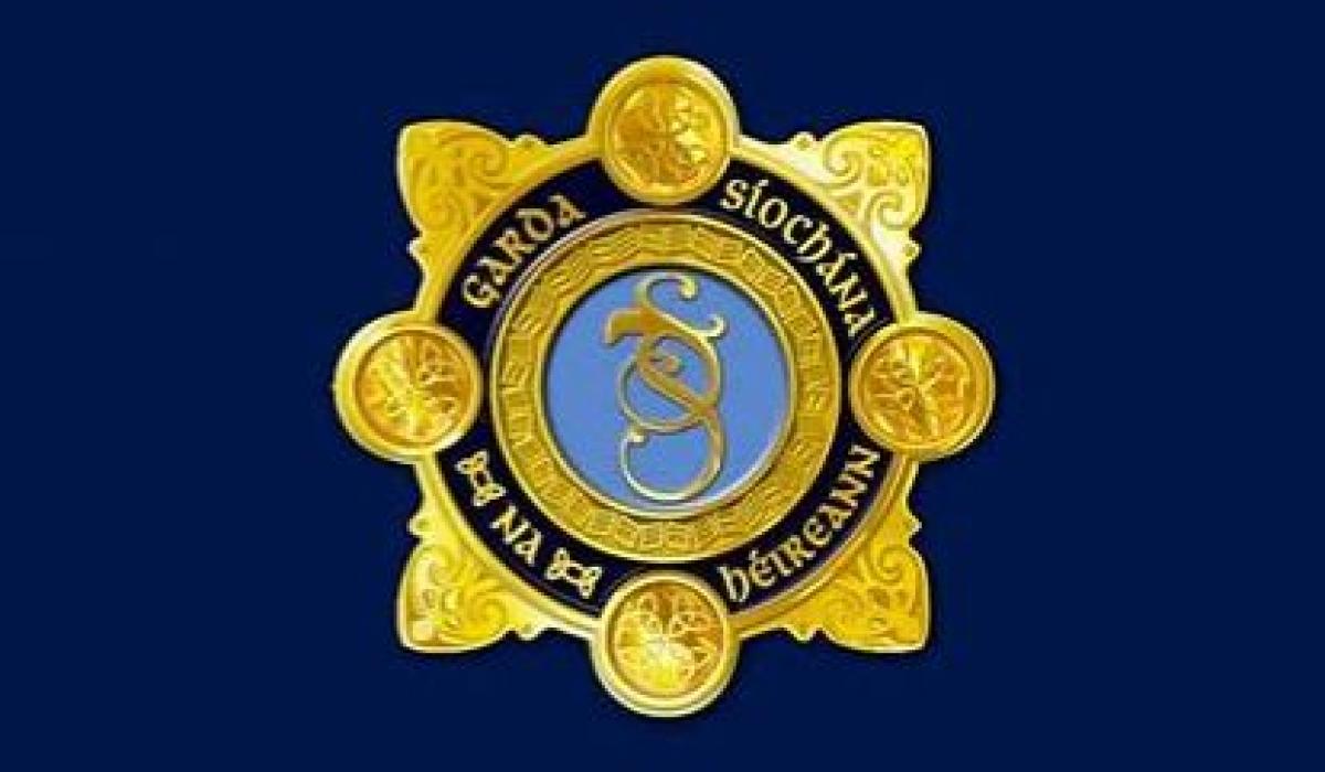 ICYMI: 'Uninvited guests' make Co Kilkenny garda station their new home ...