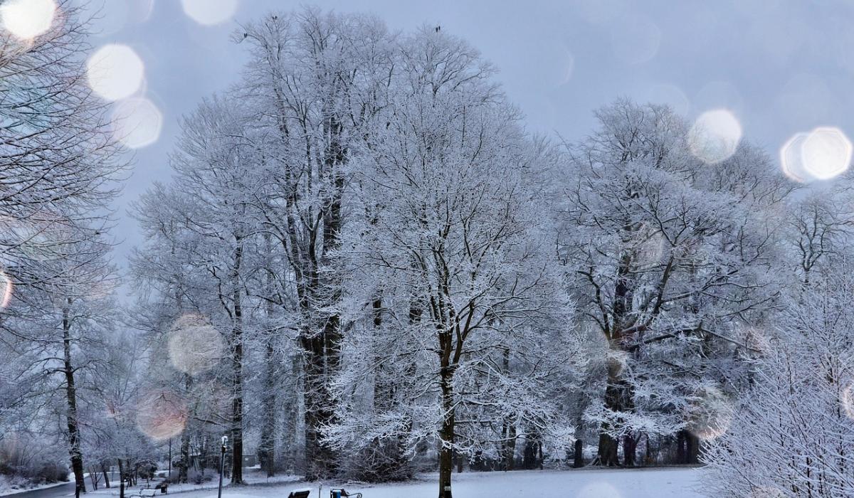 Short, sharp, shock of winter weather forecast in Kilkenny - Kilkenny Live