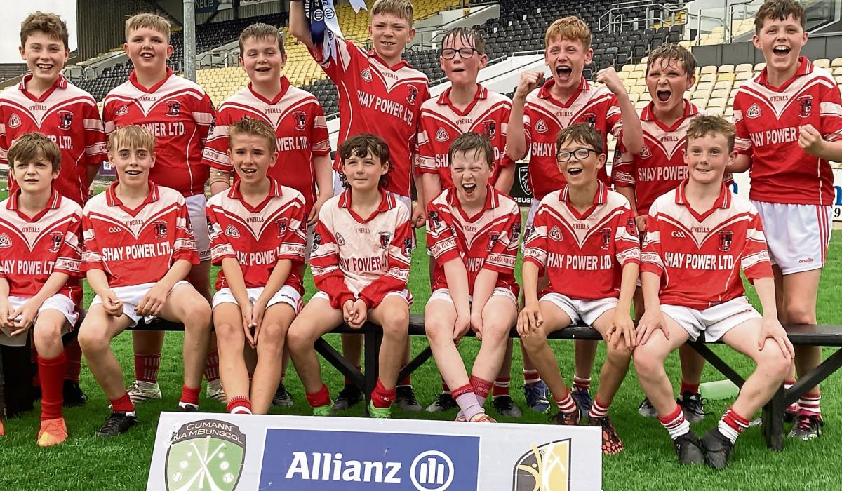 Young champs return as heroes to Windgap after victory in UMPC Nowlan ...