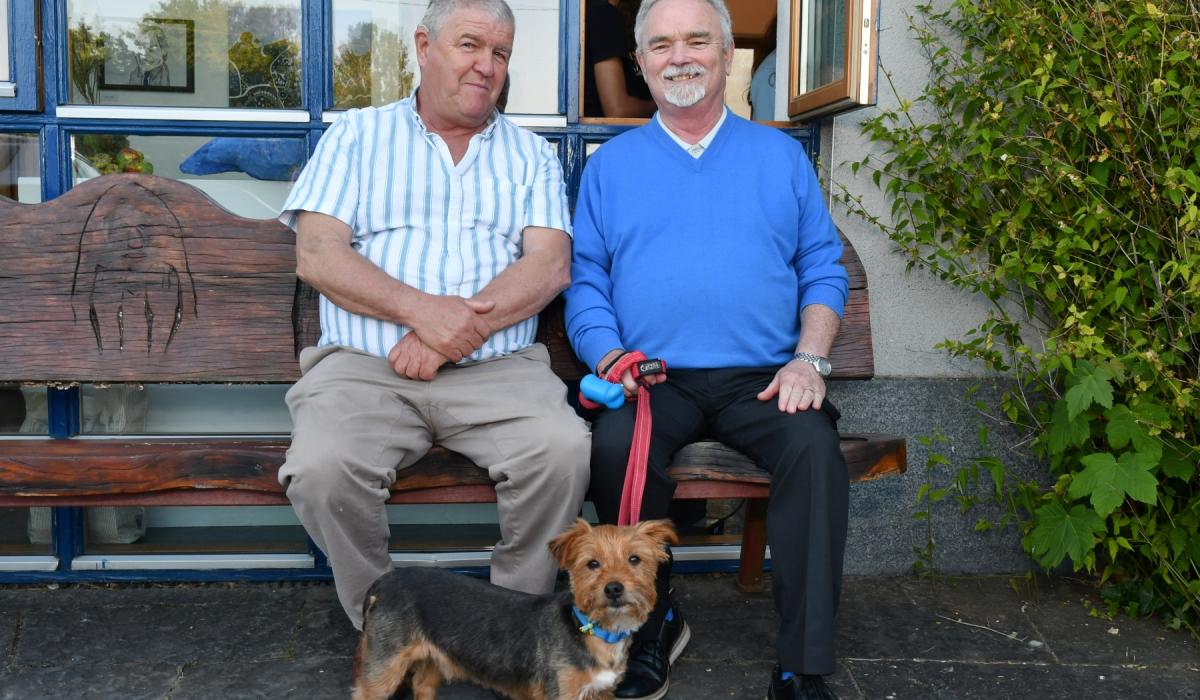 PICTURES: Check out the End of Year exhibition at KCAT in Callan ...