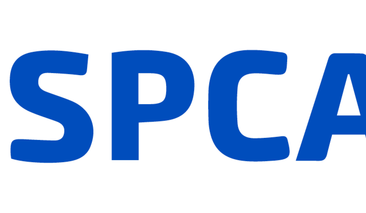 Dogs seized over welfare concerns in Kilkenny - Kilkenny Live