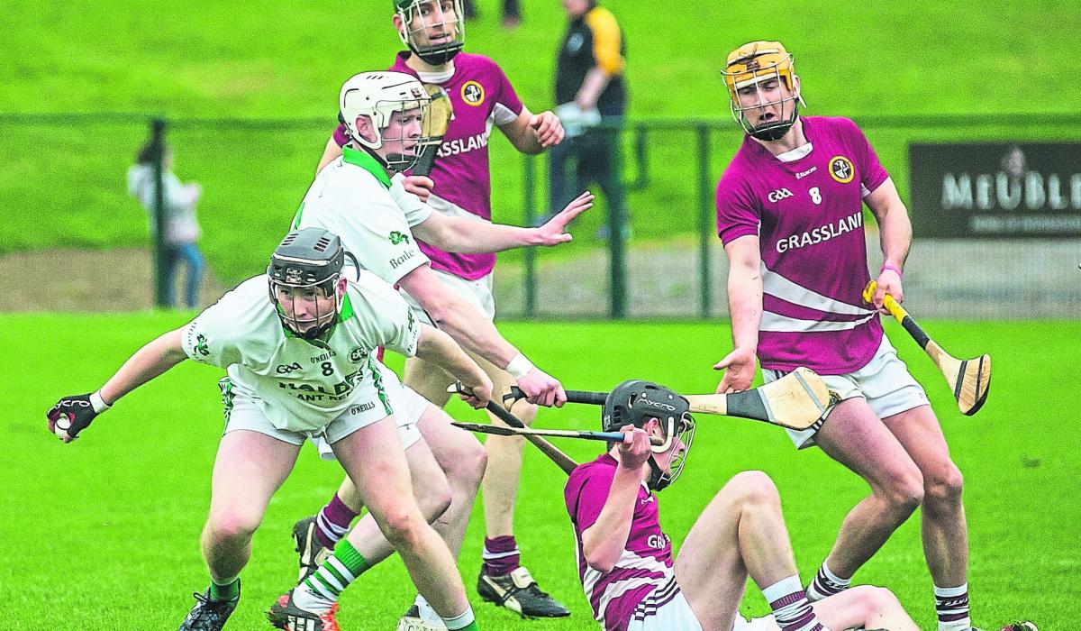 Here's all the GAA club fixtures live on TV this weekend (including big Kilkenny fixture ...