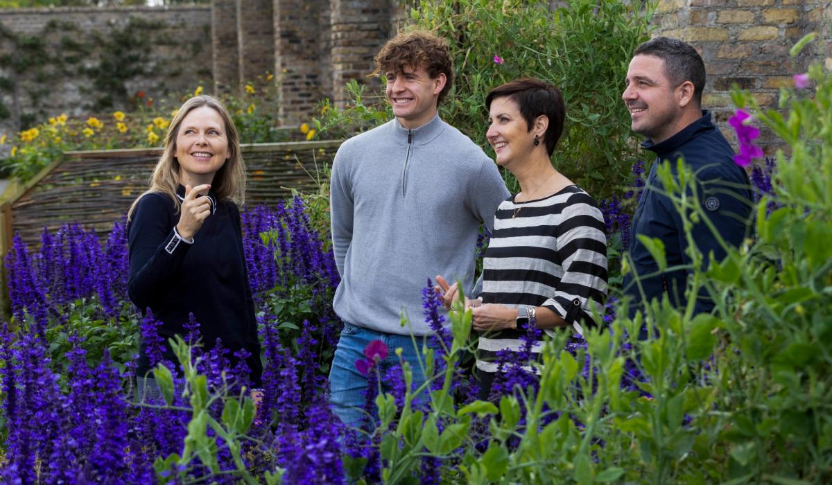 Kilkenny garden and landscape designers wanted for Bord Bia Bloom 2024 ...