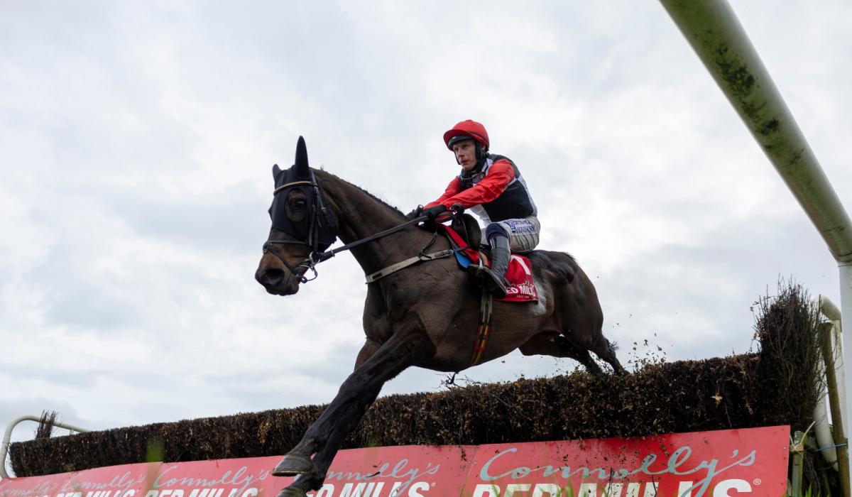 Saint Sam soars to success on poignant day for the Mullins team ...