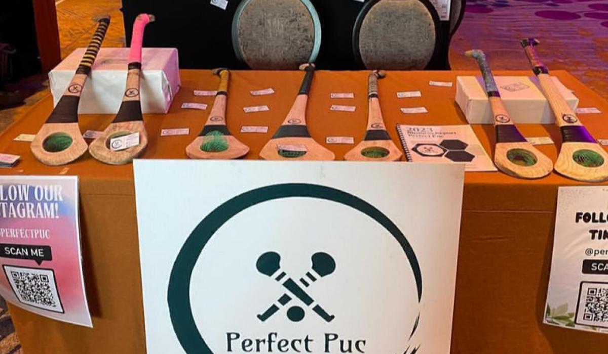 Kilkenny students' invention could help revolutionise hurling training ...