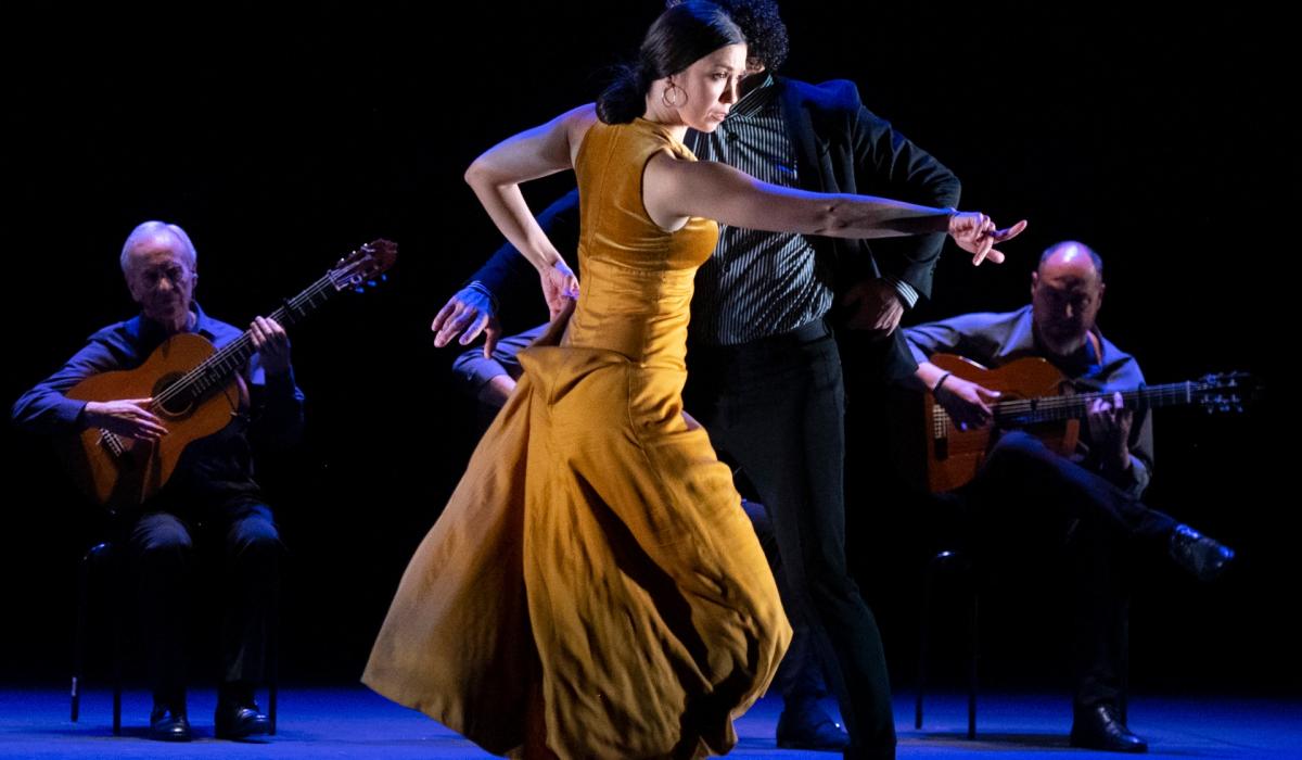 Renowned flamenco dance performance to take place in Kilkenny ...