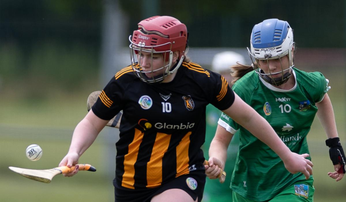 Kilkenny lose out to Limerick in under-16 clash in Mallow - Kilkenny Live