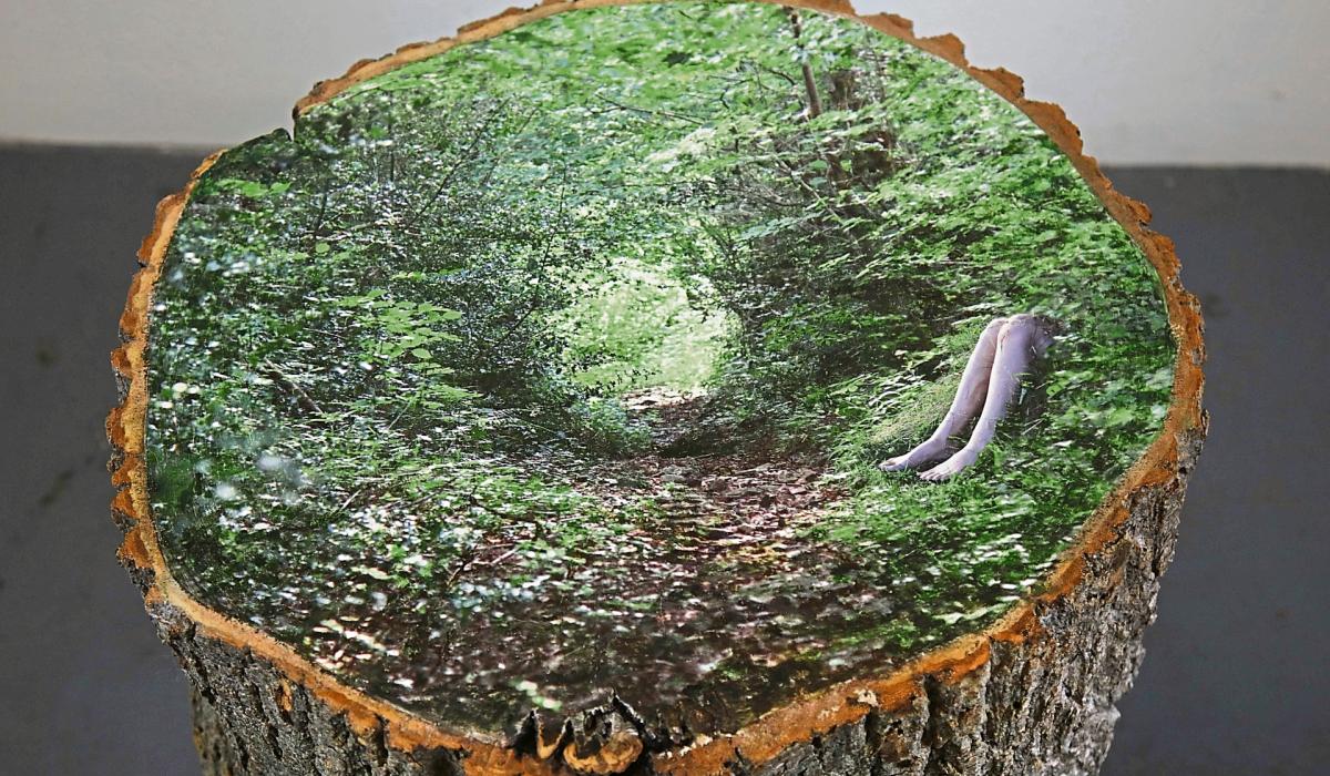 A vivid exploration of time and memory at Butler Gallery in Kilkenny ...