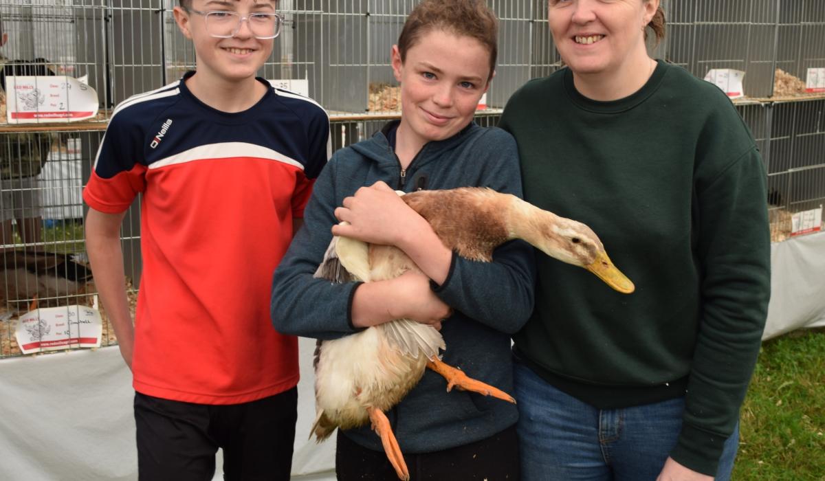 GALLERY: Excitement of the Iverk Show in Kilkenny - Gallery #1 - Page 1 ...