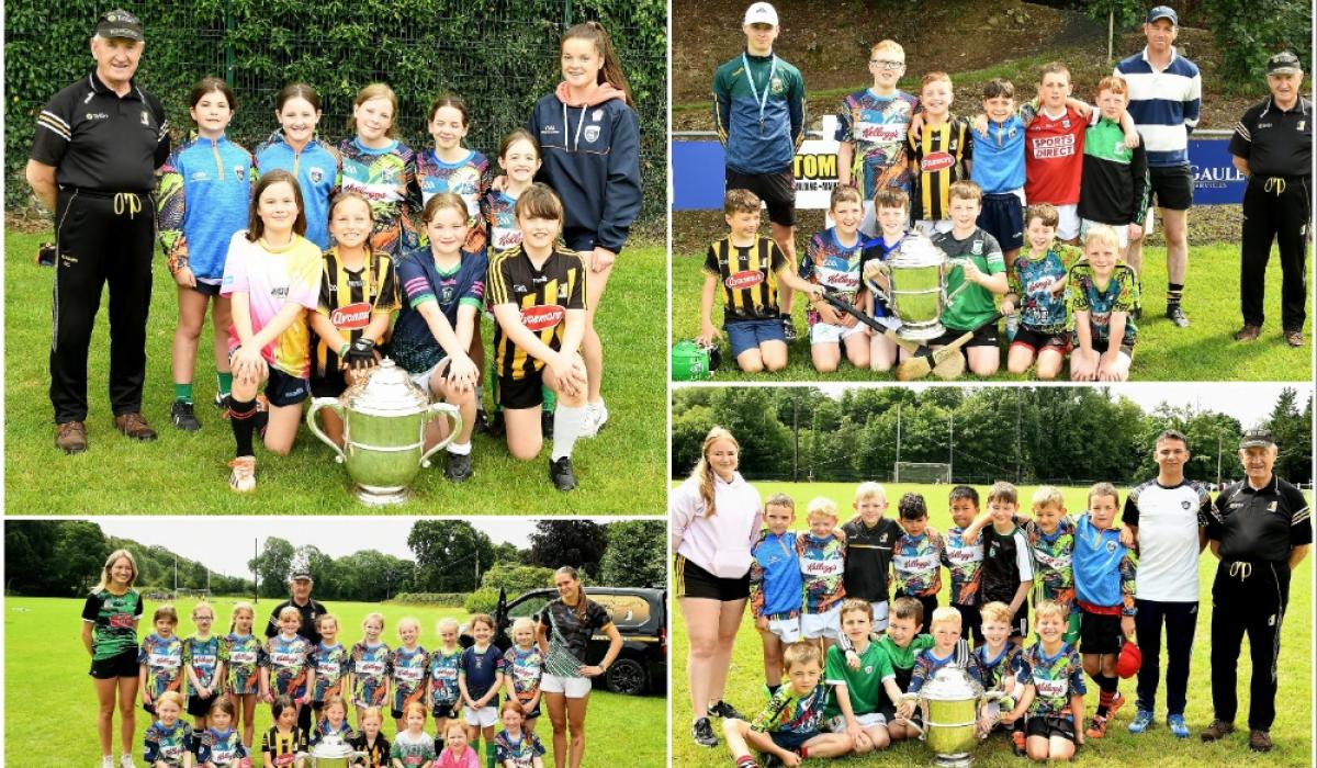 PICTURES: All smiles from GAA Stars of the Future at Kilmacow Cúl Camp ...
