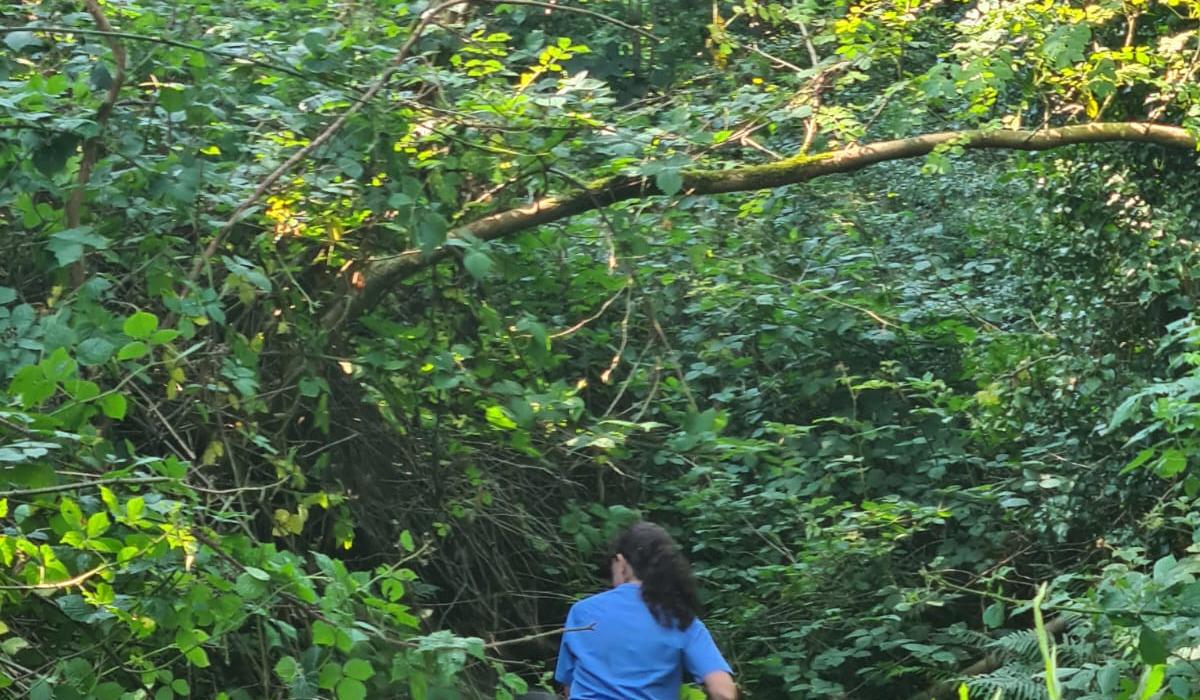 Door-to-door enquiries over missing Kilkenny man - Kilkenny Live