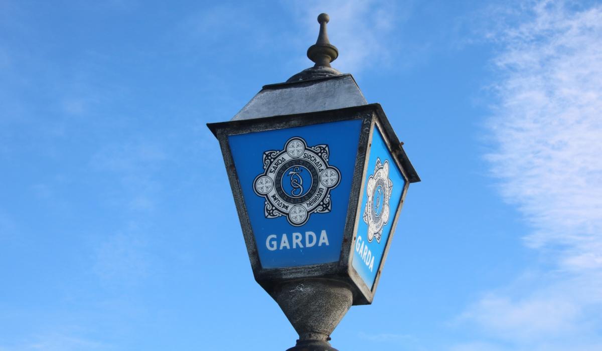 Major new addition to garda forces in Kilkenny - Kilkenny Live