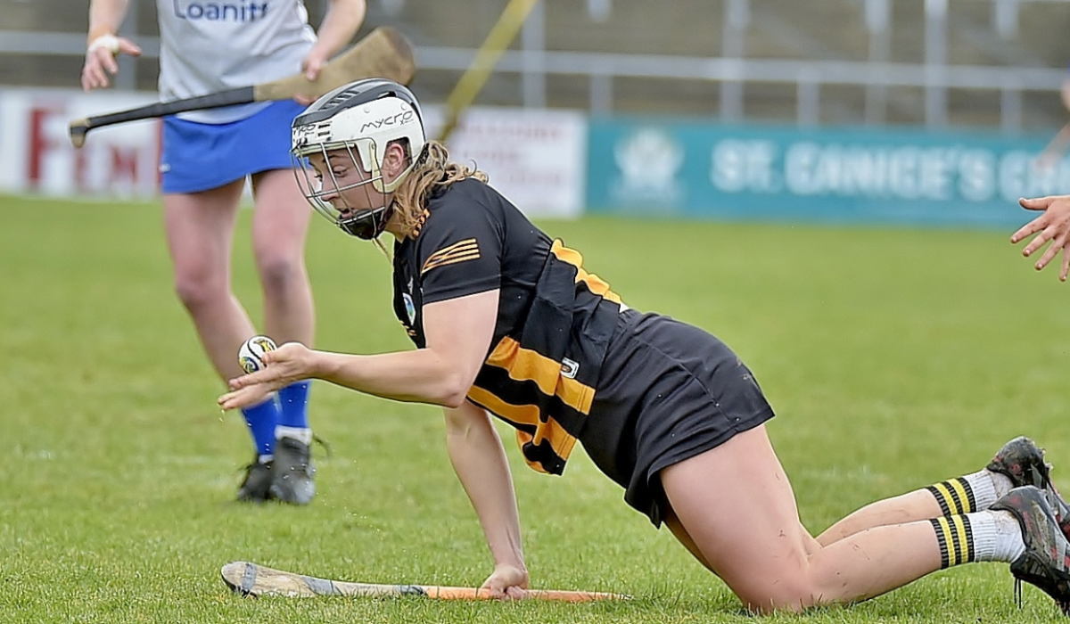 PICTURES: An action-packed game as Kilkenny take on Waterford in the ...