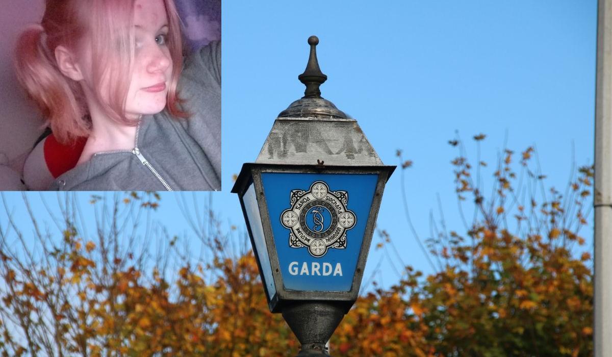 Gardai have renewed missing person appeal with concern for missing 15-year-old - Kilkenny Live