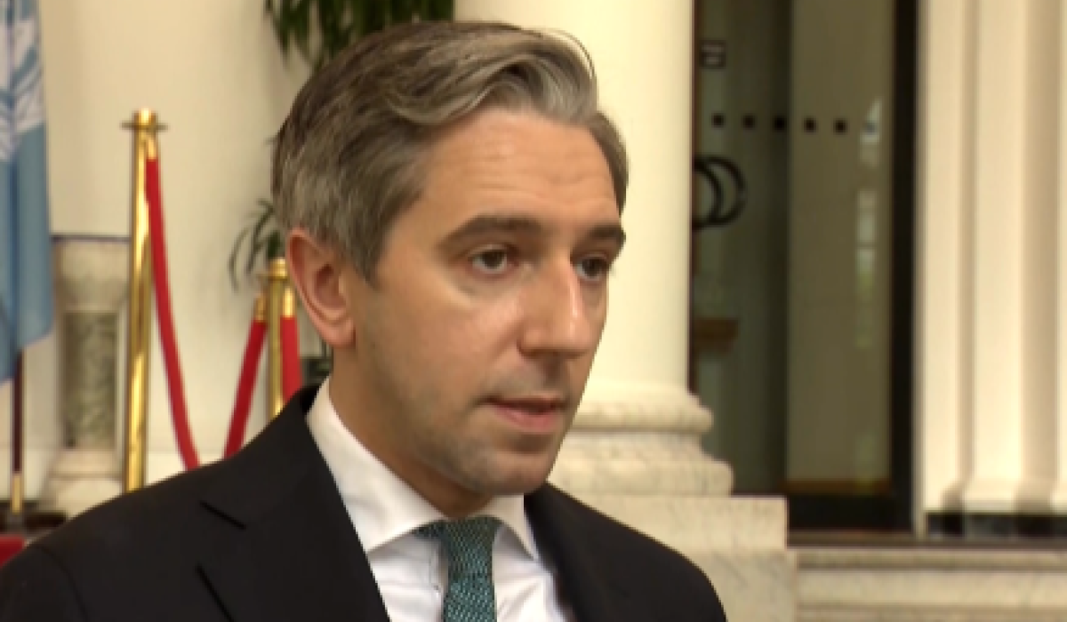 Tánaiste Simon Harris confirms 15 Irish citizens evacuated from Israel ...