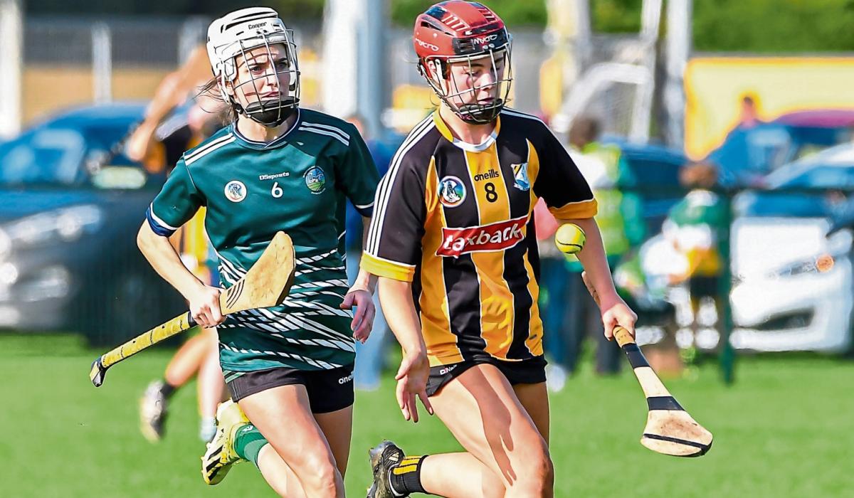 Ice-cool Mahony holds nerve to send Danesfort into camogie semi-finals ...