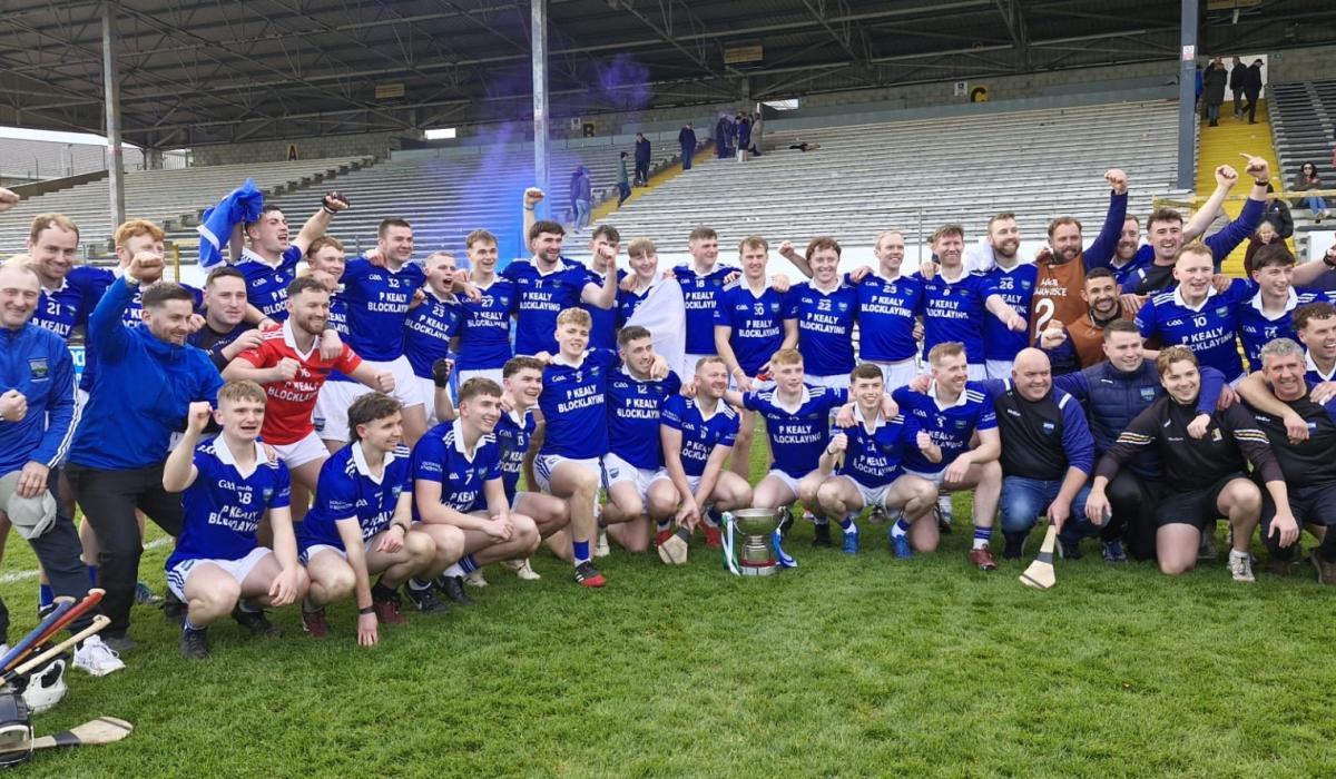 Barrow Rangers end long wait to win Kilkenny junior hurling title ...