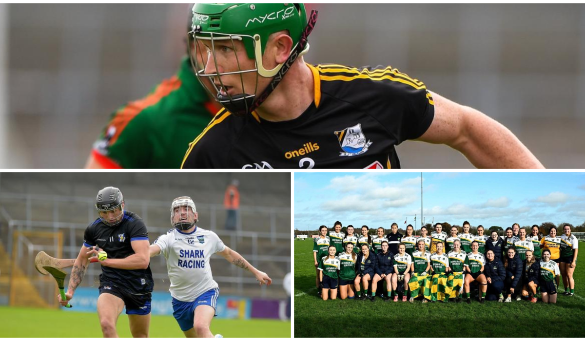 Kilkenny GAA: Mixed results for Danesfort, Barrow Rangers and Muckalee ...