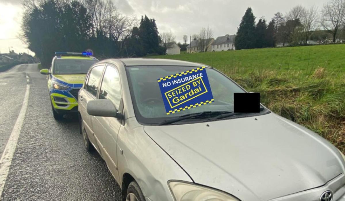 Gardaí catch driver who had a learner permit for almost 35 years ...