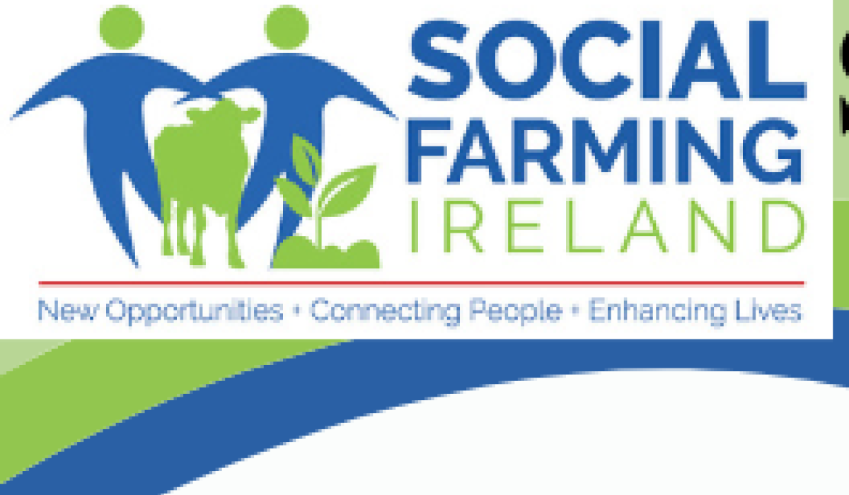 Ballykeeffe Social Farm to hold Open Day in rural Kilkenny - Kilkenny Live