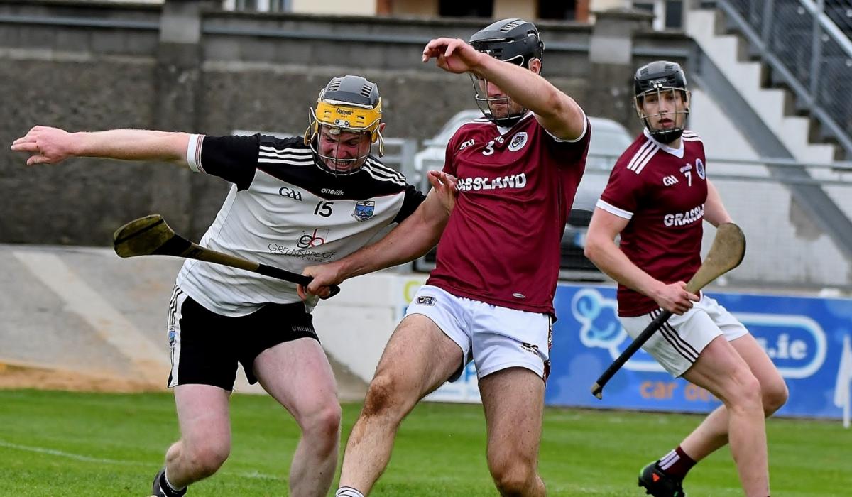 Kilkenny SHC- High flying Dicksboro ease past Mullinavat challenge ...