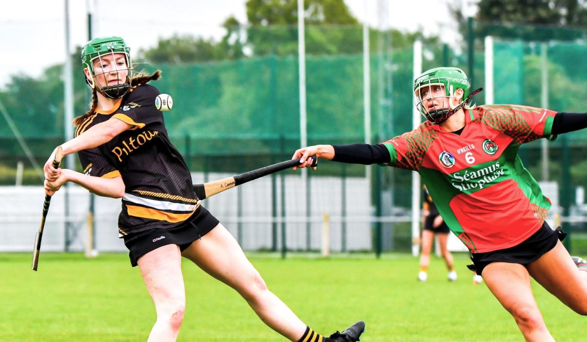 Power helps Piltown see off gallant James Stephens - Kilkenny Live