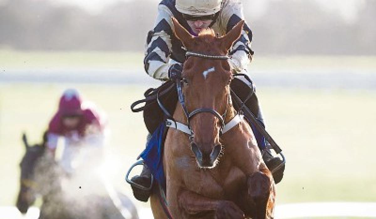 Elliott eyes Red Mills return for Gold Cup champion - Kilkenny Live