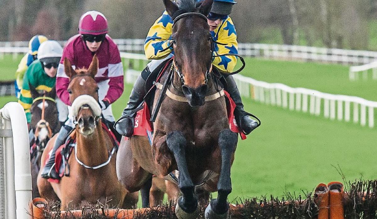 The South-East's richest horse race comes to Gowran Park this June - Kilkenny Live - Kilkenny Live