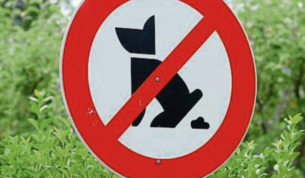 Kilkenny mother appalled at dog fouling in local village - Kilkenny Live
