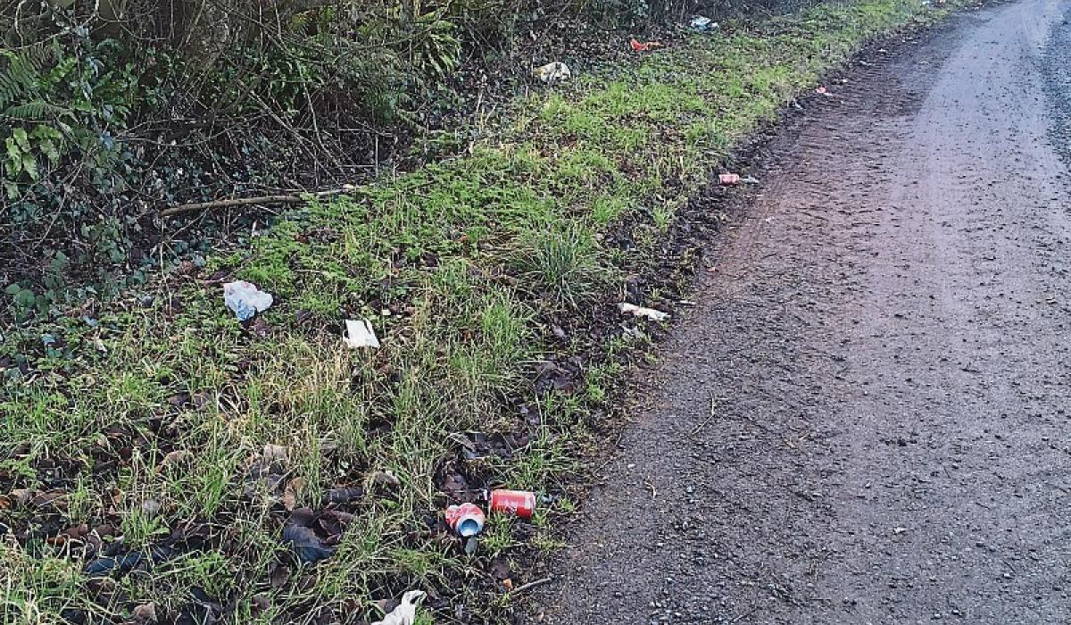 Litter pickers can't go near 'shocking' road in Kilkenny - Kilkenny Live