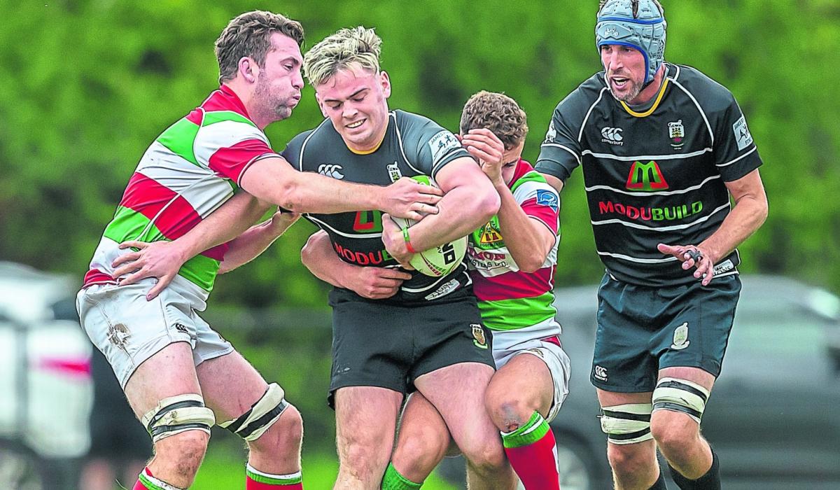 Kilkenny enjoy home comforts with second win of the season - Kilkenny Live